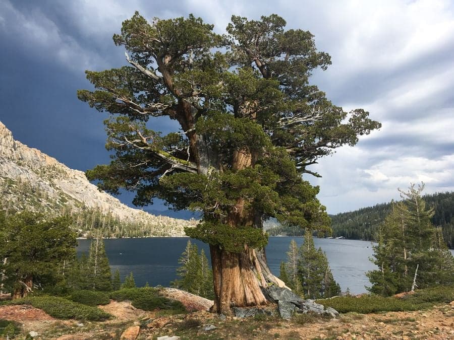 Explore the Pacific Crest Trail's Trips, Hikes, and Trailheads