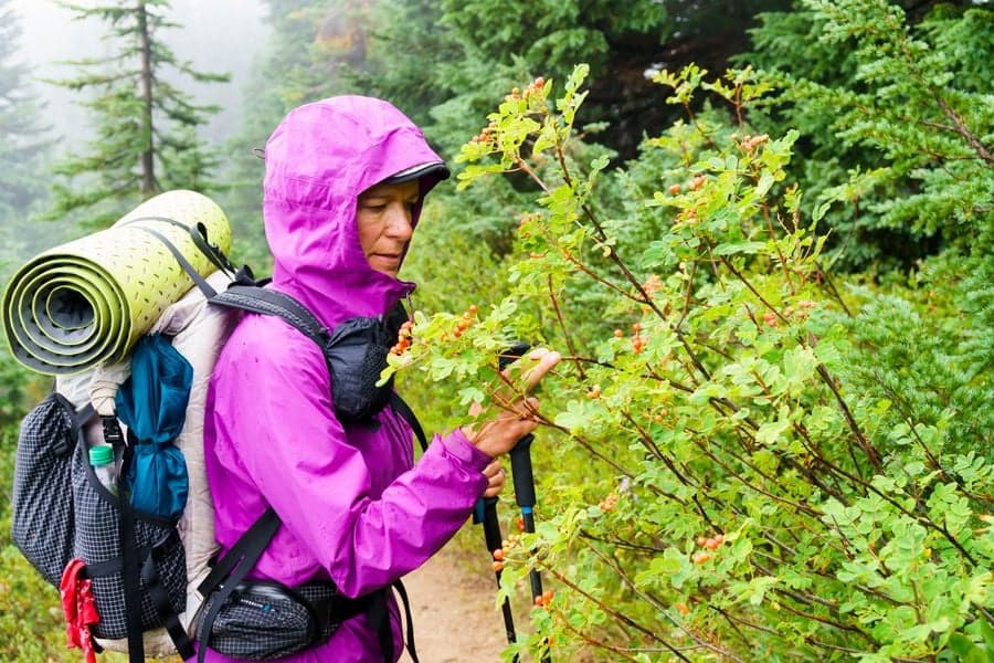 Map and List of Trips and Trailheads | Explore the Pacific Crest Trail