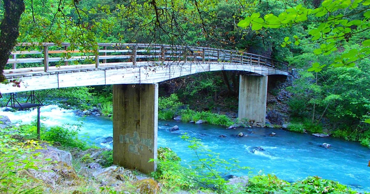 Ash Camp to Fitzhugh Gulch along the McCloud River