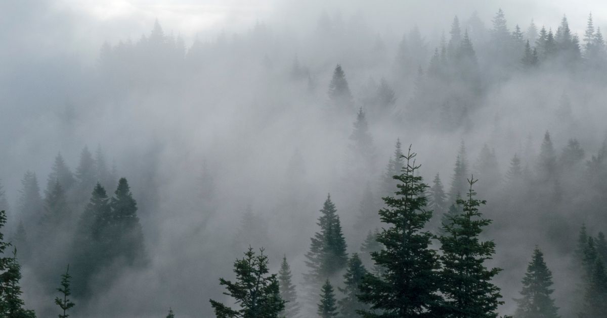 Lone Pilot Loop: Rugged Hike in Soda Mountain Wilderness