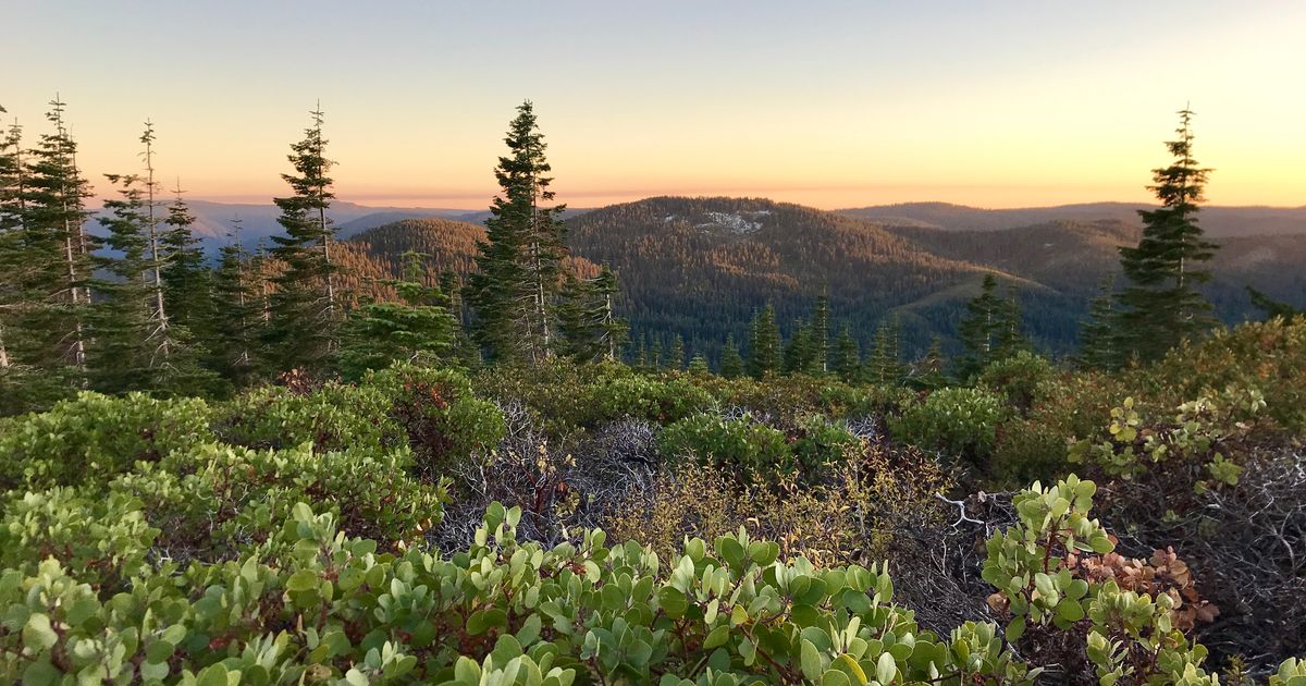Spanish Peak via Bucks Summit: A Northern Sierra Gem