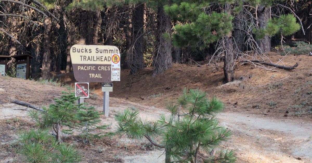 Bucks Summit Trailhead | Explore the Pacific Crest Trail