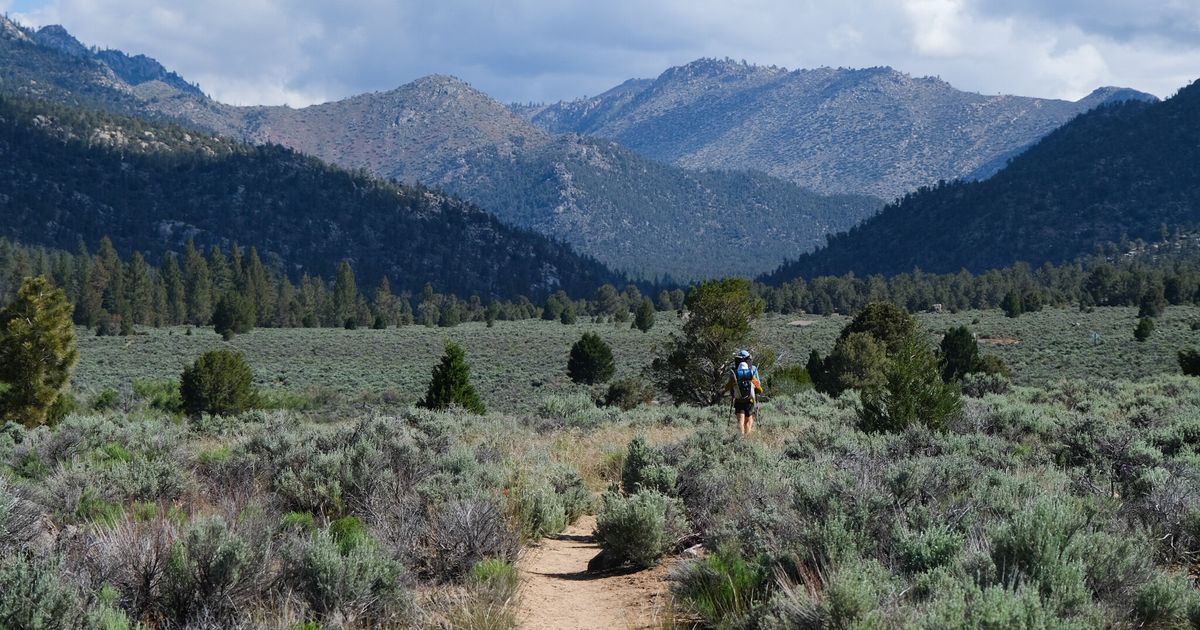 South Sierra Wilderness: Kennedy Meadows to Beck Meadow